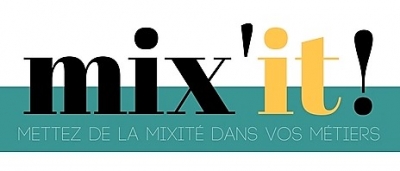 Commission Nationale - Mix'it - FACE la Fondation pour l'inclusion